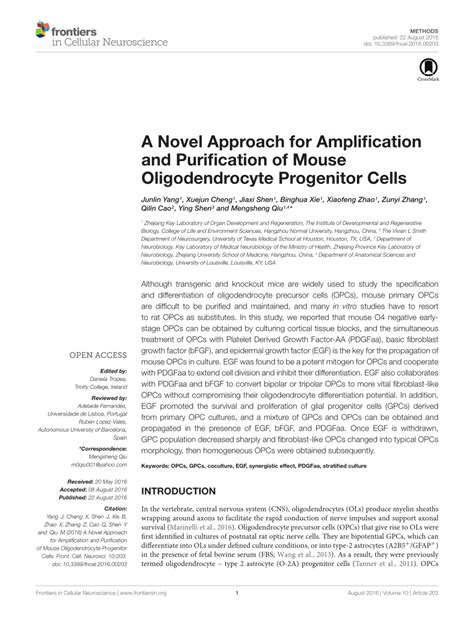 Pdf A Novel Approach For Amplification And Purification Of Mouse