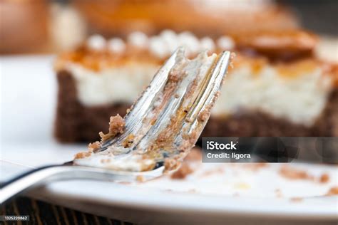 우유 치즈 충전과 소금에 절인 캐러멜을 듬뿍 넣고 견과류를 곁들인 타르틀릿 0명에 대한 스톡 사진 및 기타 이미지 0명 구겨진 미식가 Istock