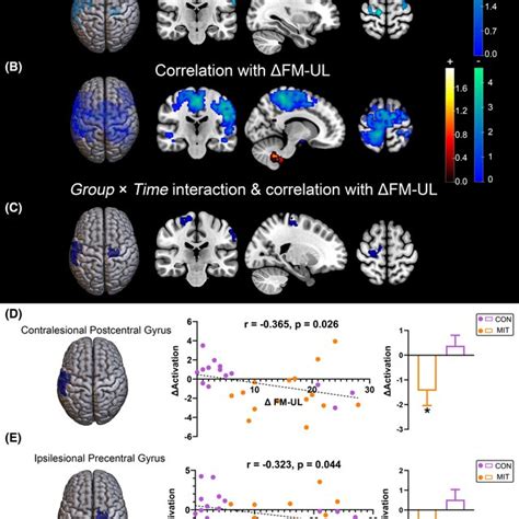 Block Design For Task‐based Fmri The Patients Clutched Their Hands