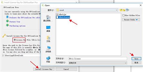 dbvisualizer 12破解版下载 dbvisualizer pro 12破解版下载 v12 0 2 当快软件园