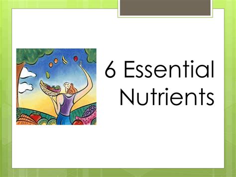 6 Essential Nutrients Study Notes Nutrition Docsity