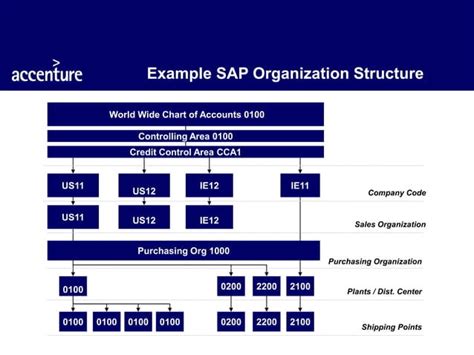 SAP Organization Structure V Ppt Business Accounting Finance Business