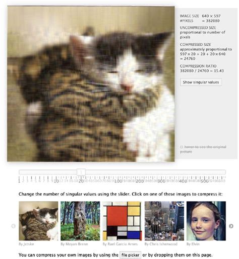 Figure 1 From The Application Of Singular Value Decomposition To Image