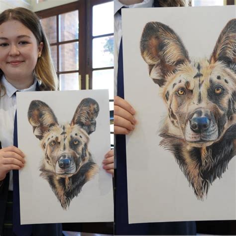 Hill House School Sketch For Survival Milestone For Lilly