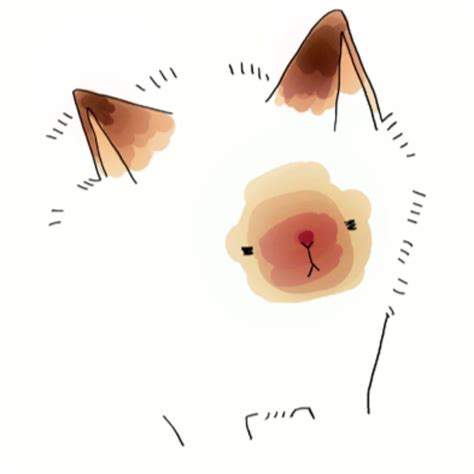 个人学习笔记—learnopengl(高级opengl) 知乎 个人学习笔记—learnopengl(高级opengl) 知乎