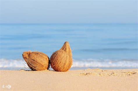 大海啊你容納百川的胸懷熱情奔放 每日頭條