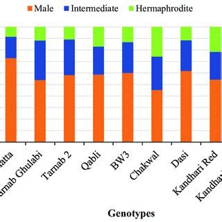 Flower Sex Ratio In Different Pomegranate Genotypes Stacked Columns Download Scientific