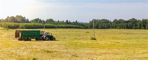 농업 작업에 대 한 필드에 트레일러와 트랙터 건초 만들기 초원 일반 계획 파노라마 공간을 복사합니다 0명에 대한 스톡 사진 및