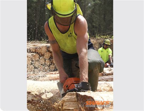 Resources Image Gallery Logging Photographs