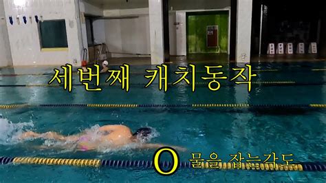 장거리수영자유형 꿀팁 설명 Youtube 장거리수영자유형 꿀팁 설명 Youtube