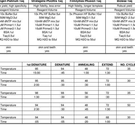 Taq Polymerases And Pcr Conditions Tried On Dna Extracted From Formalin Download Table