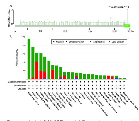 Mutations In The Pa200psme4 Gene A Lollipop Mutation Diagram Using