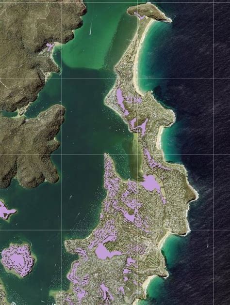 Biodiversity Development Assessment Report Bdar East Coast Ecology