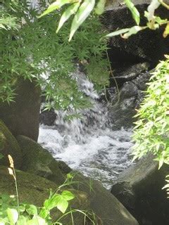 横浜英和季節だより