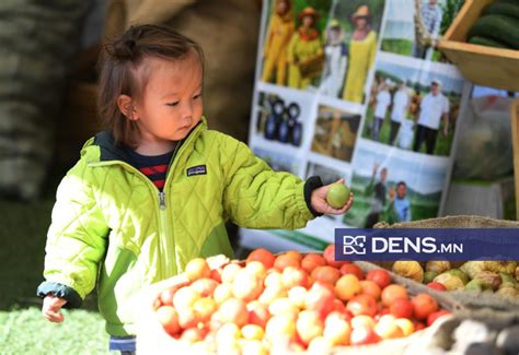 “Намрын ногоон өдрүүд” үзэсгэлэн худалдаа эхэлжээ Dens Mn Популизмаас ангид хараат бус мэдээлэл