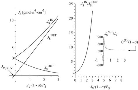 Convection Diffusion Of Solute S Through A Water Permeable Pore With