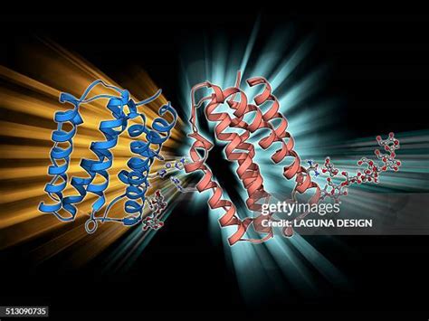 Beta Particle Photos And Premium High Res Pictures Getty Images