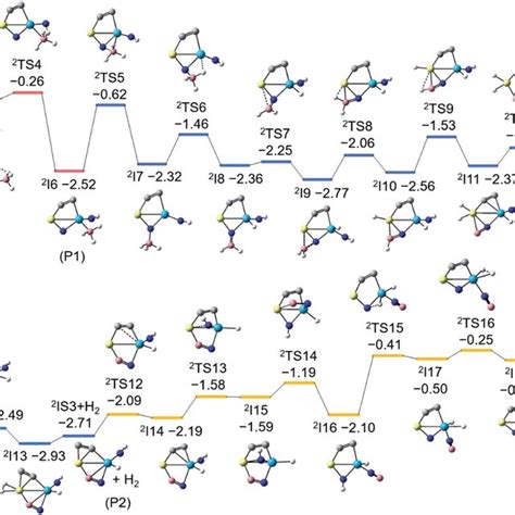 Potential Energy Profile For The Reaction Of Cotac 2 N 2 À 2 I4 With Download Scientific