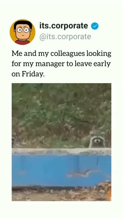 Harihar Padhi On Linkedin Meme Funny Corporatememe Corporatelife