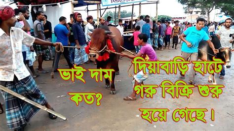 উত্তরা দিয়াবাড়ি হাটে ভারতিয় গরু দিয়ে ভরে গেলো তাই দেশী গরুর দাম কমে