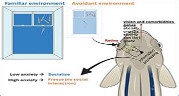 New England Biolabs Launches NEBNext Low Bias Small RNA Library Prep Kit Presenting A New