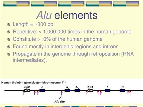 Ppt Structure Of Is Elements Powerpoint Presentation Free Download Id9550453