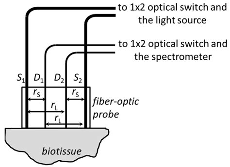 Fiber Optic Probe Design In Drs Experimental Setup Employing A