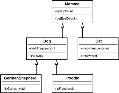 superclasses and subclasses