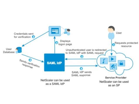 DNS Automation Project Dynexo GmbH