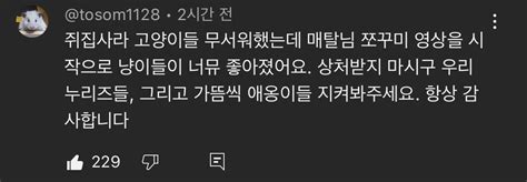 더쿠 ㅇㅂㅇ 매탈남 업뎃영상 보는데 댓글들ㅋㅋㅋㅋㅋㅋㅋㅋㅋㅋㅋㅋㅋ
