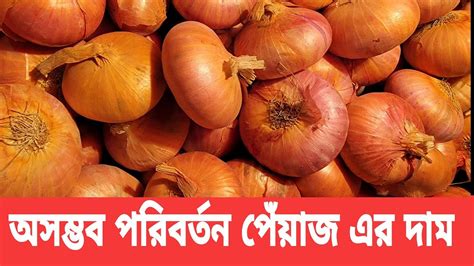 আবারো লাগামহীন পেঁয়াজ এর বাজার দর দেখুন আজ কত করে কাওরানবাজারে বিক্রি