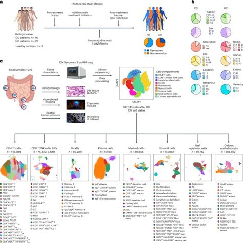 Jose Luis Torres Cuadros On Linkedin A Longitudinal Single Cell Atlas