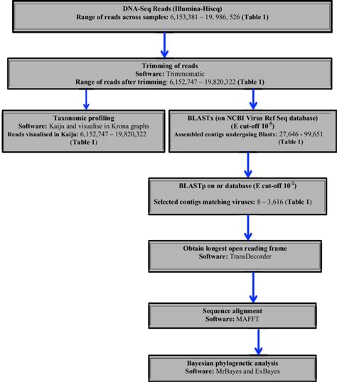 Schematic Presentation And Taxonomic Profiling And Virus Download