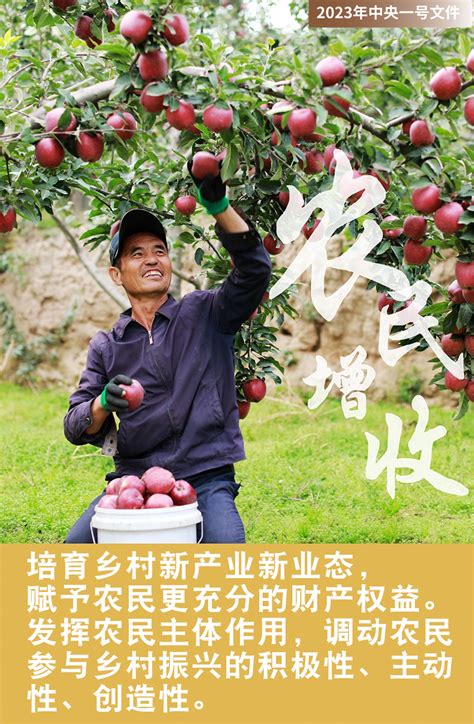 海报中央一号文件释放了哪些农业强国信号 荔枝网新闻