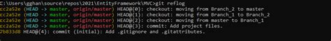 Source Control 4 5 Git Recover Deleted Branch