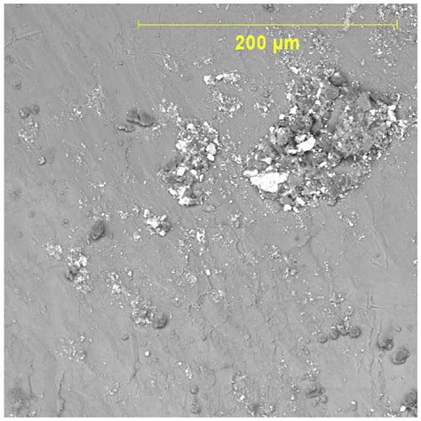 Poppular Photography Electron Microscope Image Of Fluorite