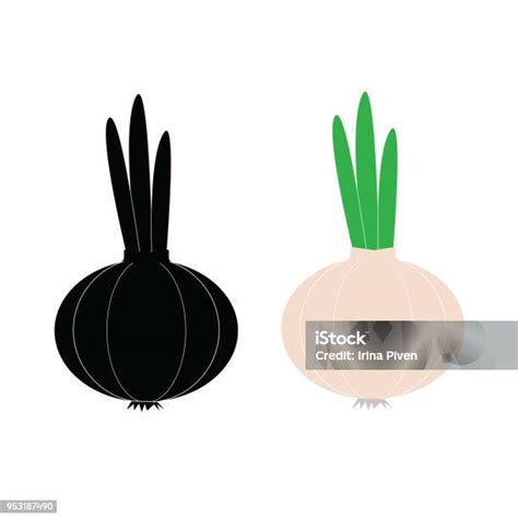 양파는 흰색 바탕에 만화 스타일 아이콘 벡터 양파 벡터 일러스트입니다 양파 검정 및 컬러 아이콘 벡터 실루엣 고립 0명에 대한 스톡 벡터 아트 및 기타 이미지 Istock