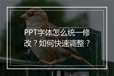 Ppt如何设置16：9比例？如何调整幻灯片显示比例？ 8104办公软件