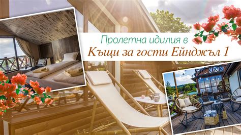 Коледжиков Електрическа гроздомелачка Grifo Dms 18 Гроздомелачка на ток Grifo Dms 18 е