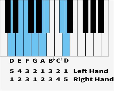 D Harmonic Minor Scale Fingerings Digital Piano Review Guide