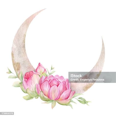 나뭇잎과 분홍색 달이 있는 분홍색 연꽃 꽃무늬 초승달 수채화 삽화 밀교 기호와 상징 격리 디자인 인쇄 직물 또는 배경을 위한 최소한의 그림 개화기에 대한 스톡 벡터 아트 및