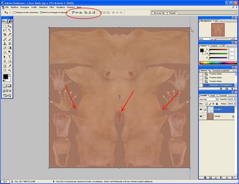 Genital Swap Photoshop