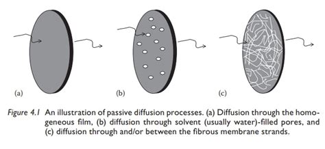 Diffusion Drug Transport Across A Polymeric Barrier Biopharmaceutical