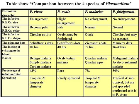 Malaria Parasite Plasmodium Vivax Plasmodium Falciparum Plasmodium Malariae