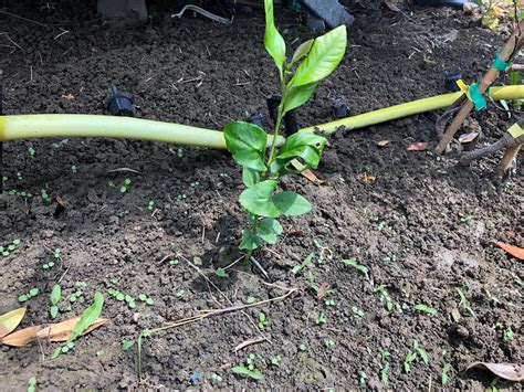 Артзона рекламни табели And светещи букви Home Facebook