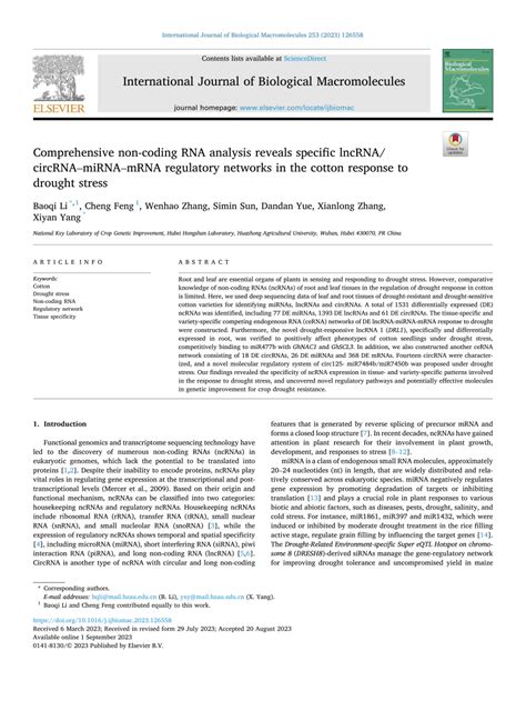 Pdf Comprehensive Non Coding Rna Analysis Reveals Specific Lncrna
