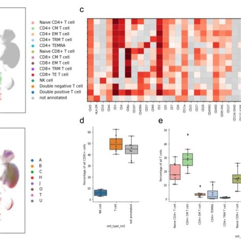 Analysis Of Single Cell Mass Cytometry Data From Human Bone Marrow Download Scientific Diagram