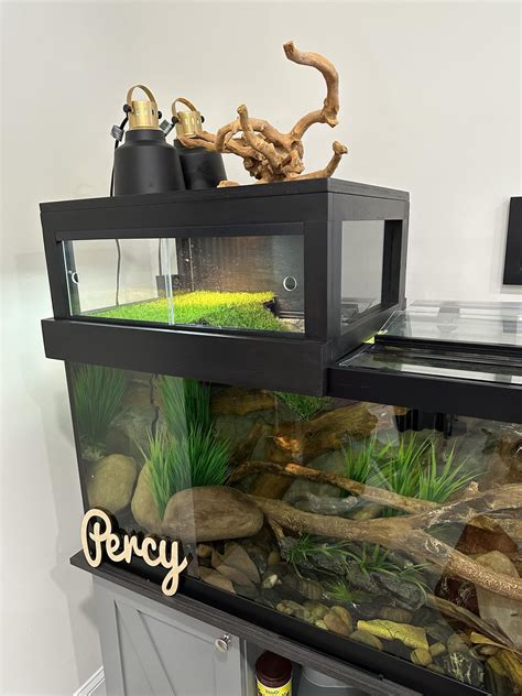 Custom Built Turtle Basking Loft Topper For 75g Tank R Turtle