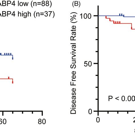 Kaplan‐meier Survival Curves Of Patients With Gist A B Patients