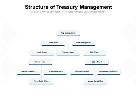 Structure Of Treasury Management Ppt Powerpoint Presentation Summary Slide Download